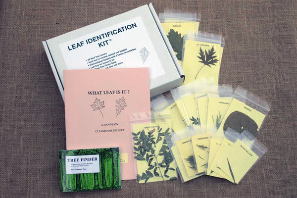 Leaf Identification Kit for Kids | Leaf Identification Key